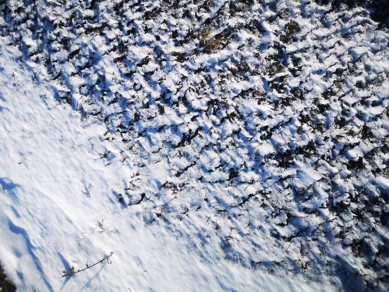 Original Textures of Snow, Branches, Soil Stock Image - Image of soil ...