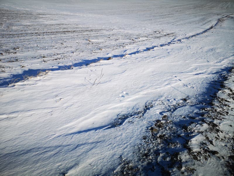 Original Textures of Snow, Branches, Soil Stock Image - Image of ...