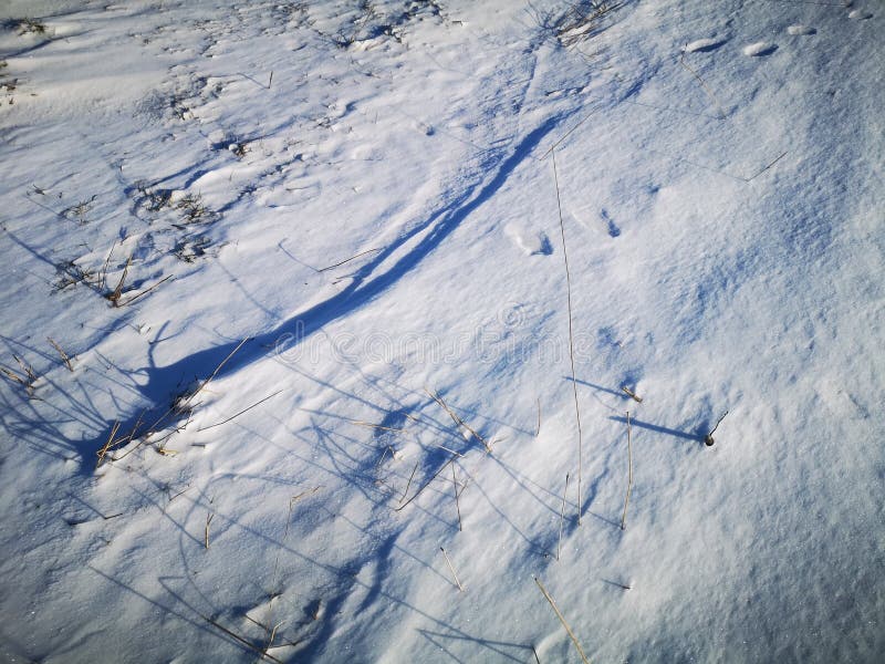 Original Textures of Snow, Branches, Soil Stock Photo - Image of ...
