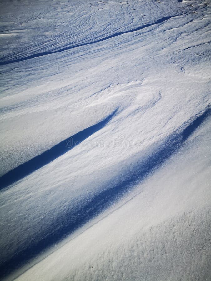 Original Textures of Snow, Branches, Soil Stock Photo - Image of ...