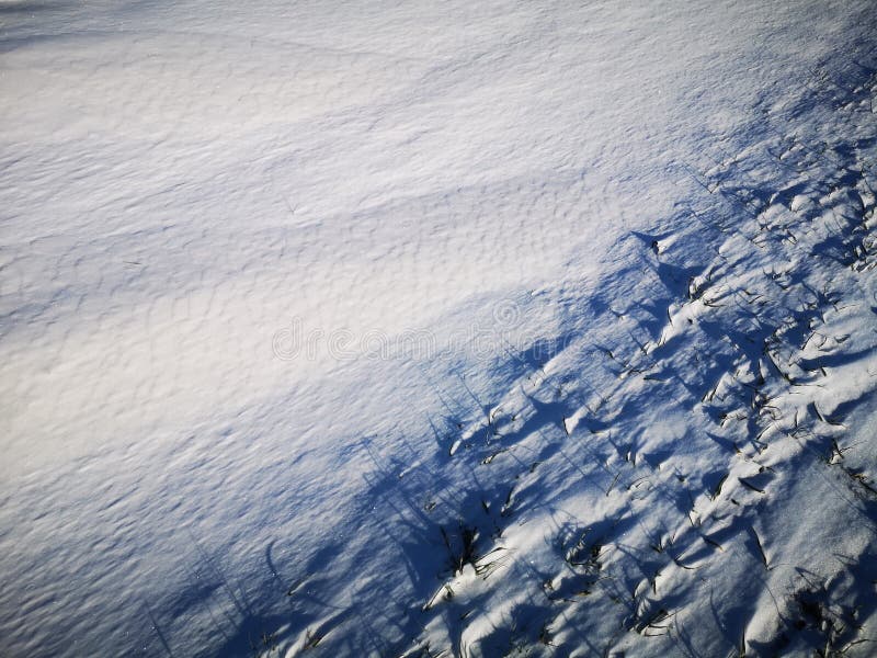 Original Textures of Snow, Branches, Soil Stock Image - Image of nature ...