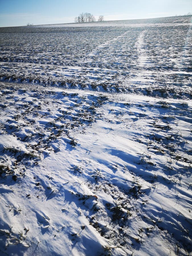 Original Textures of Snow, Branches, Soil Stock Photo - Image of fields ...
