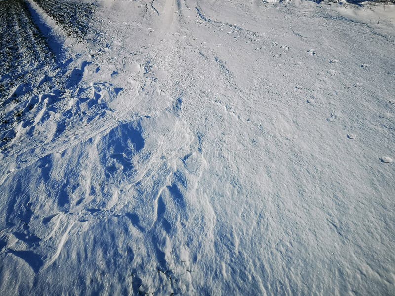 Original Textures of Snow, Branches, Soil Stock Photo - Image of ...