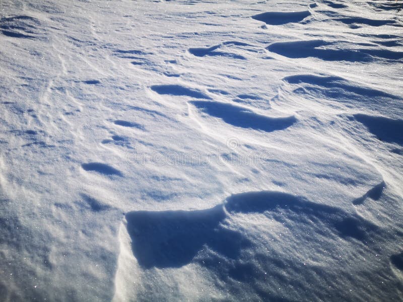 Original Textures of Snow, Branches, Soil Stock Image - Image of ...