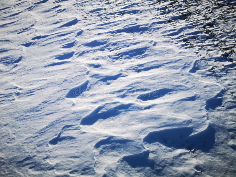 Original Textures of Snow, Branches, Soil Stock Image - Image of ...