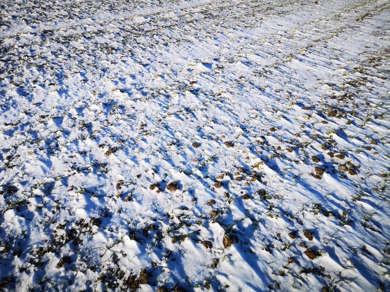 Original Textures of Snow, Branches, Soil Stock Image - Image of ...
