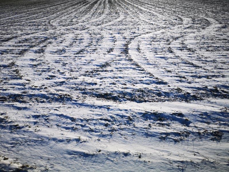 Original Textures of Snow, Branches, Soil Stock Photo - Image of ...