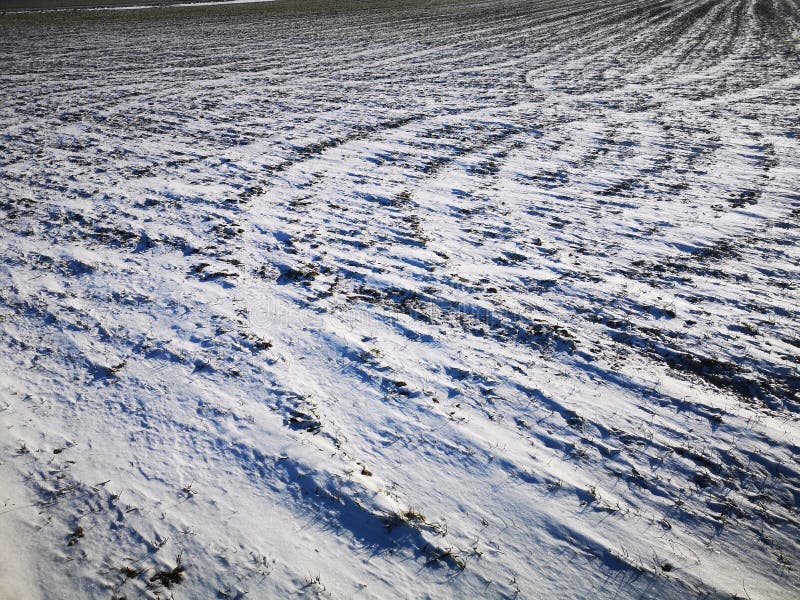 Original Textures of Snow, Branches, Soil Stock Photo - Image of ...