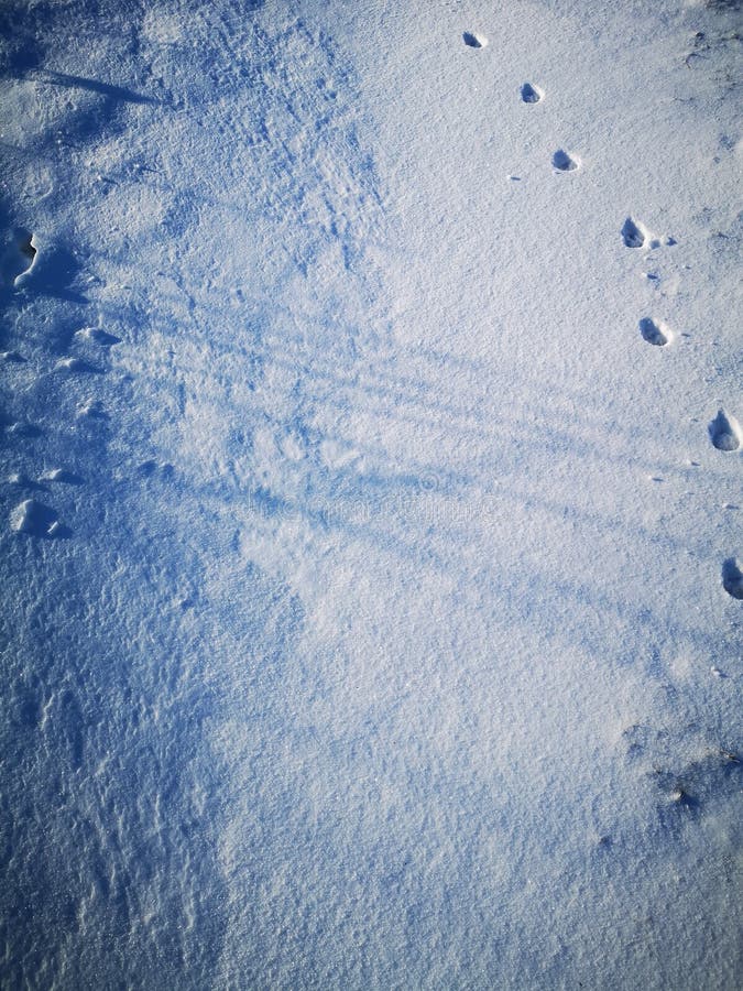 Original Textures of Snow, Branches, Soil Stock Photo - Image of winter ...