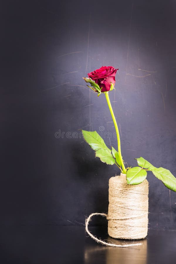 Red Rose in a Bobbin with a Rope Stock Photo - Image of hand, flower ...