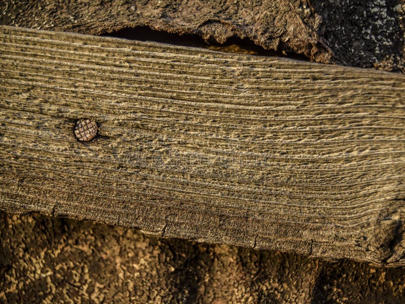 Original and Beautiful Textures Stock Image - Image of contrasting ...