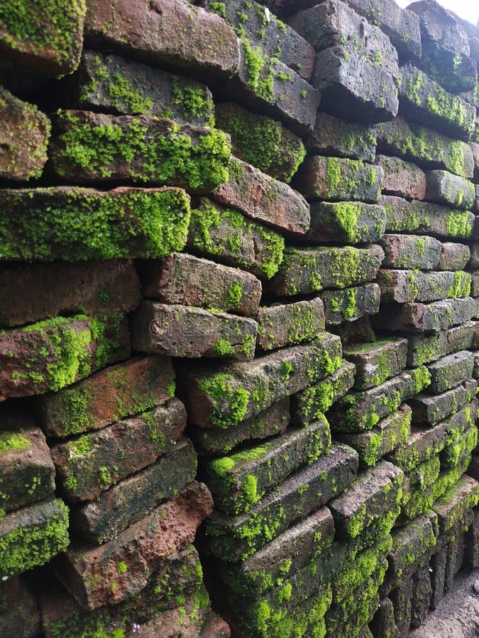 Original Brick Stone and the Building& X27;s Foundation Stock Photo ...