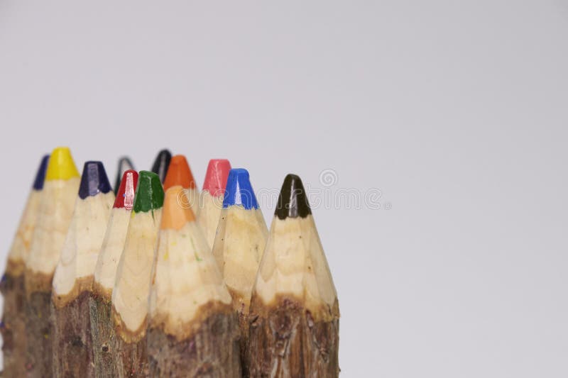 Colored Pencils Made from Tree Branches Isolated on White Background ...