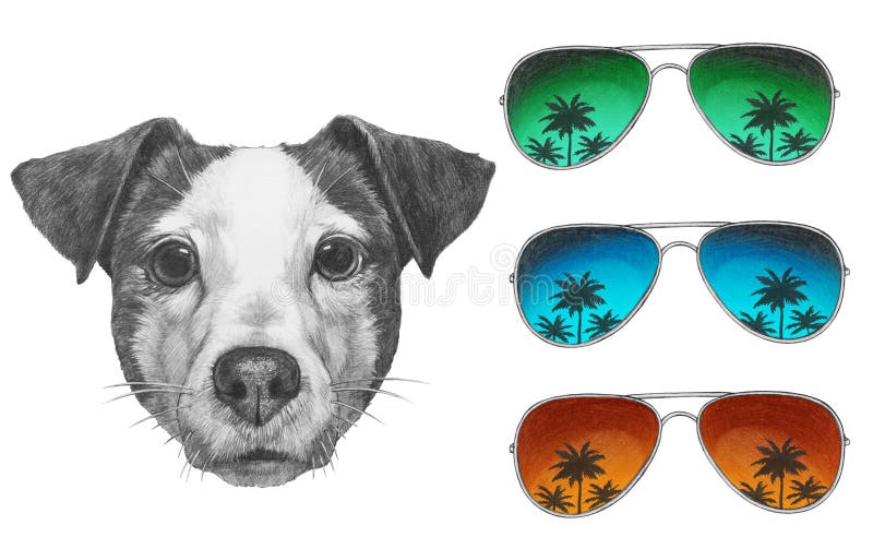 Hand Drawn Portrait of Jack Russell. Stock Vector - Illustration of ...