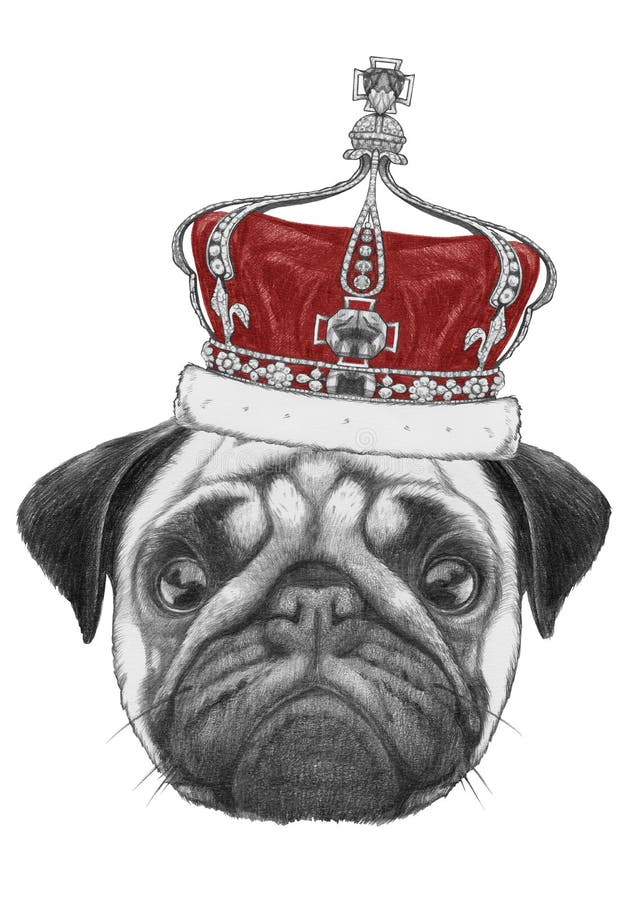 Pug Queen Stock Illustrations – 120 Pug Queen Stock Illustrations ...