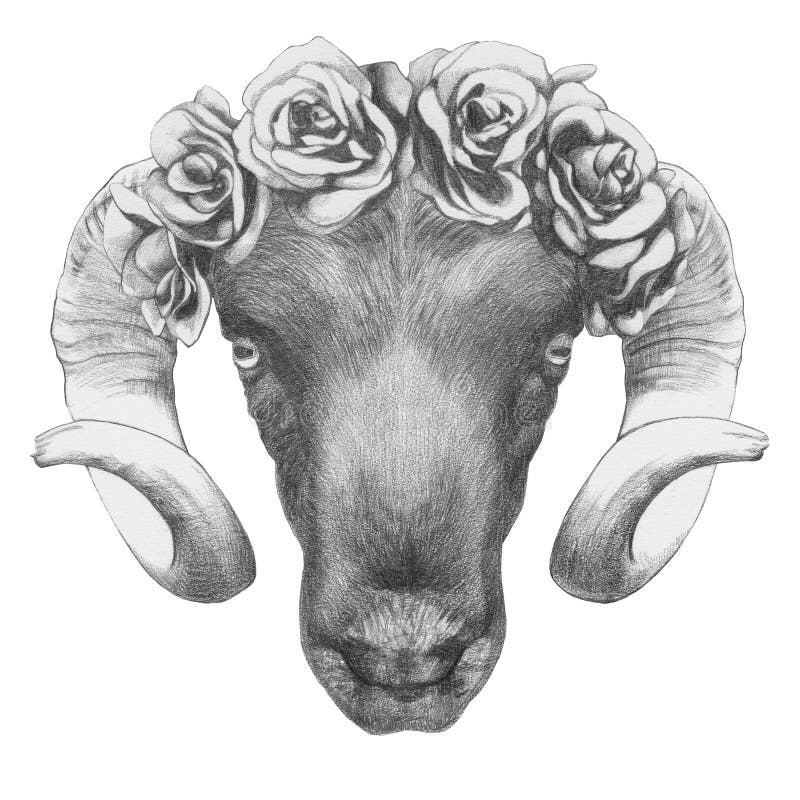 Cool Ram Stock Illustrations – 201 Cool Ram Stock Illustrations ...