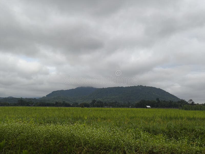 Original Flate Stock Photos - Free & Royalty-Free Stock Photos from ...