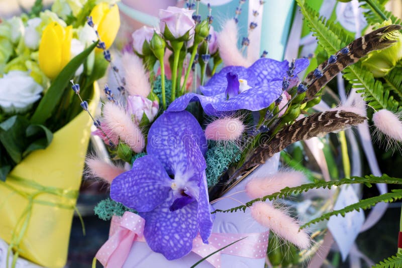 Gentle bouquet of flowers stock image. Image of gentle - 116787319