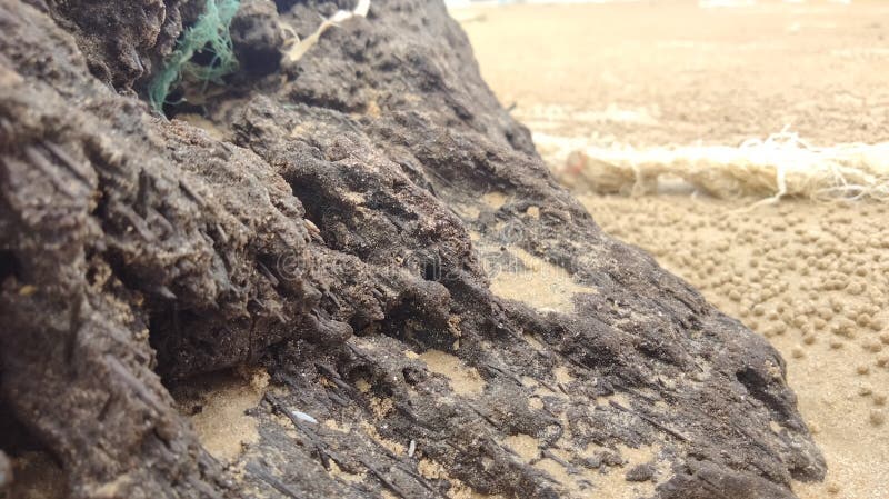 Giliyang Island Beach Stock Photos - Free & Royalty-Free Stock Photos ...