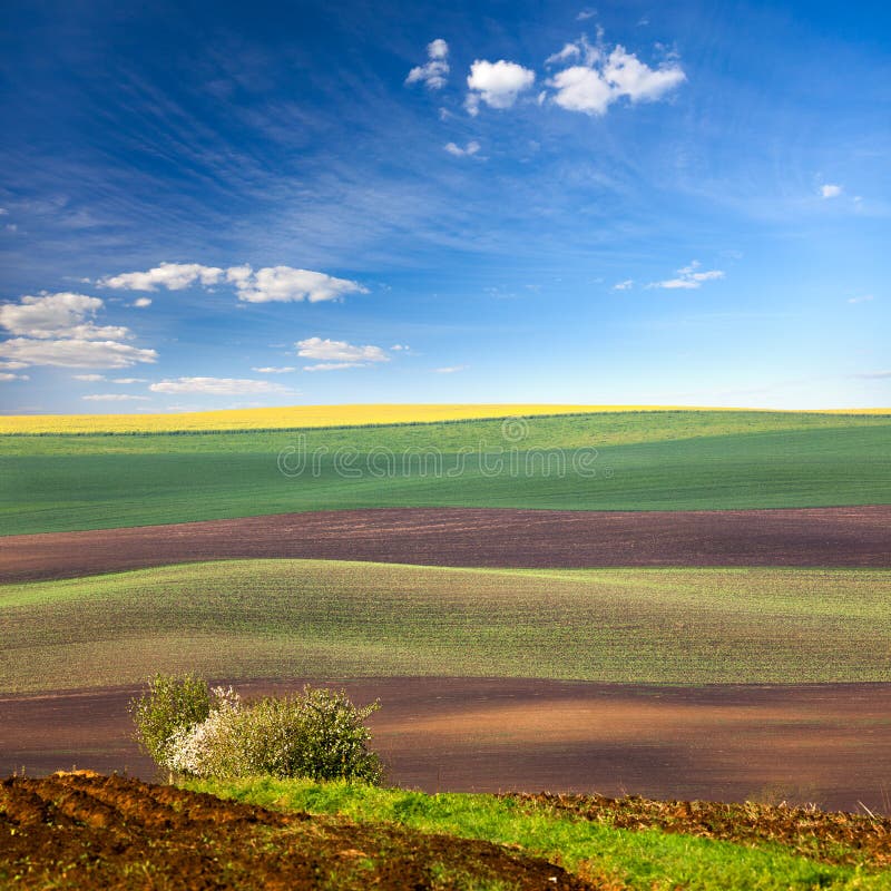 Original Lanscape of Colorful Fields Stock Photo - Image of czech ...