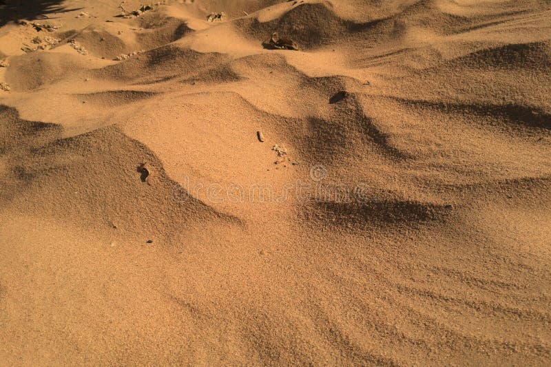 Unique Nature Lines and Textured Contures of Sand Stock Image - Image ...