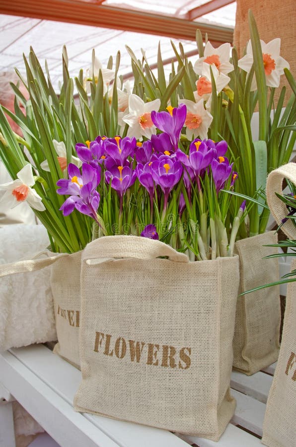 Original Package and Gift: Crocus and Narcissus Flowers in the B Stock ...