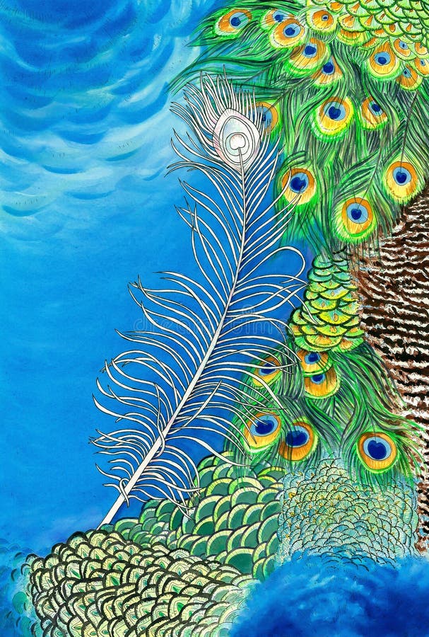 Original Painting of Peacock Feathers Stock Illustration - Illustration ...