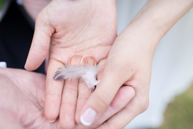 Original Photo of Wedding Rings. Two Feathers Stock Photo - Image of ...