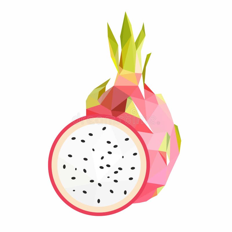 Original Pitaya Vector Fruit Stock Illustration - Illustration of fruit ...