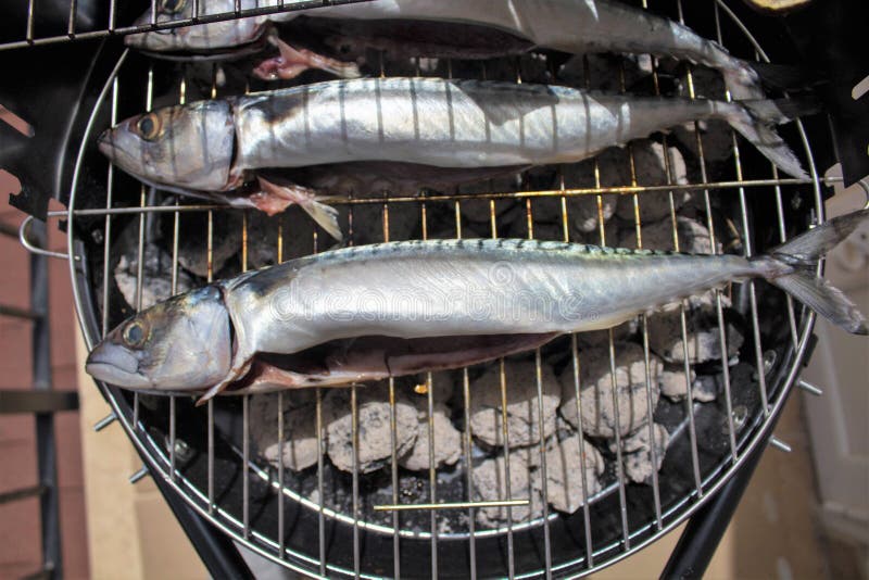 Original Sea Fish on the BBQ Grill Stock Image - Image of ignition ...