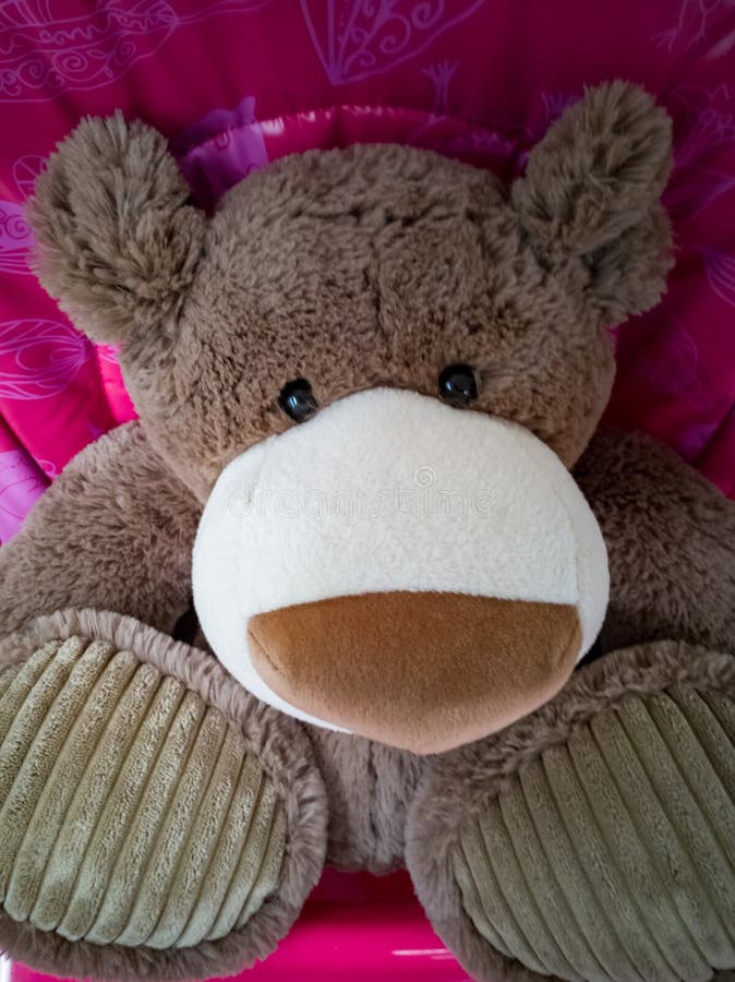 The Original Teddy Bear Sits in a Red Chair Stock Photo - Image of bear ...