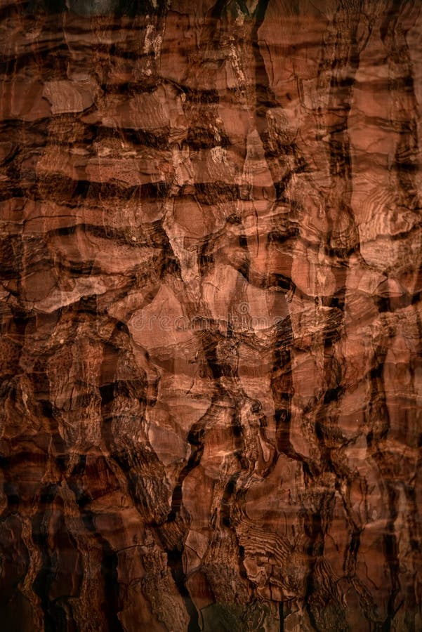 Original Texture, Woody Background . Stock Image - Image of design ...
