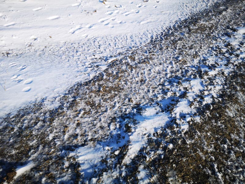 Original Textures of Snow, Branches, Soil Stock Image - Image of ...