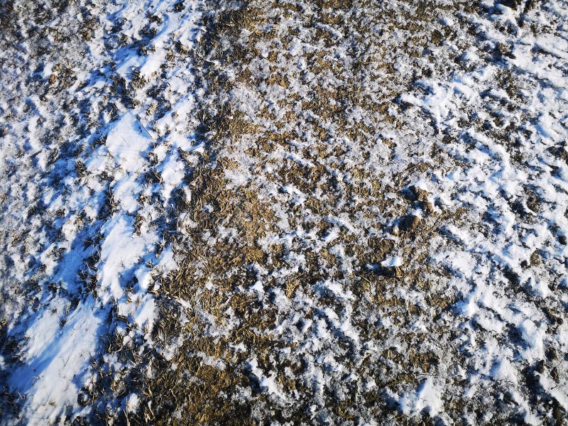 Original Textures of Snow, Branches, Soil Stock Image - Image of nature ...