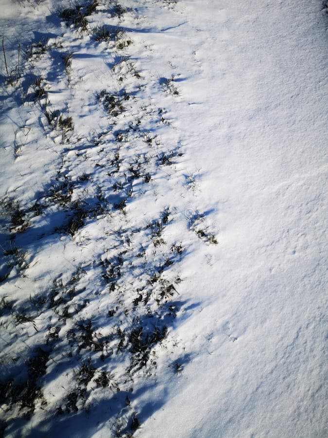 Original Textures of Snow, Branches, Soil Stock Image - Image of ...
