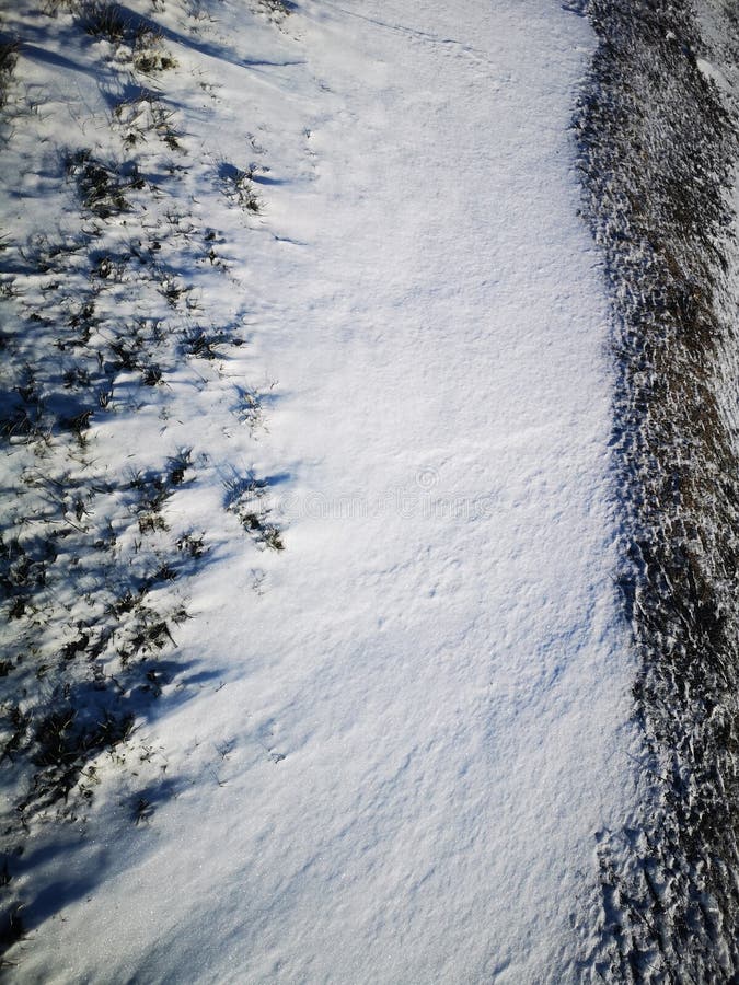 Original Textures of Snow, Branches, Soil Stock Photo - Image of ...