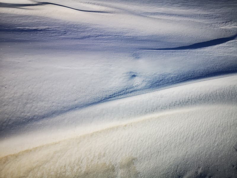Original Textures of Snow, Branches, Soil Stock Image - Image of ...