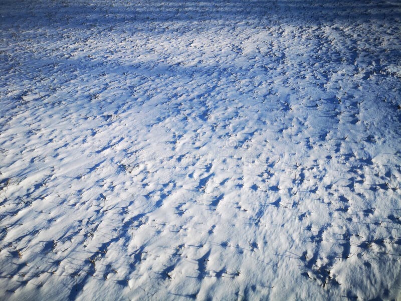 Original Textures of Snow, Branches, Soil Stock Photo - Image of ...