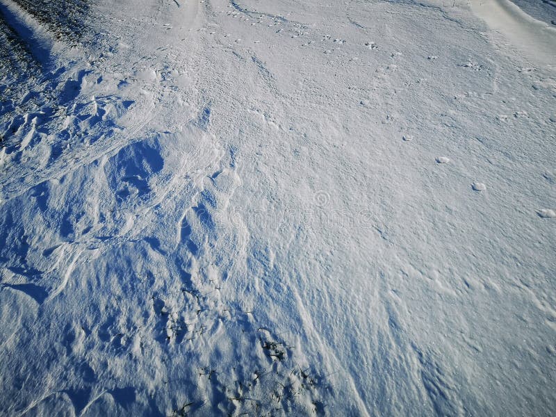 Original Textures of Snow, Branches, Soil Stock Photo - Image of ...