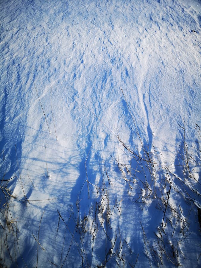 Original Textures of Snow, Branches, Soil Stock Photo - Image of ...