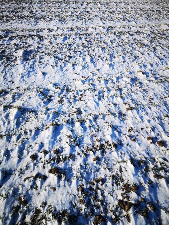 Original Textures of Snow, Branches, Soil Stock Photo - Image of ...