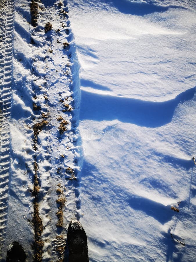 Original Textures of Snow, Branches, Soil Stock Photo - Image of fields ...