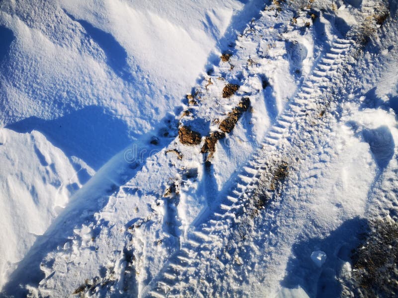 Original Textures of Snow, Branches, Soil Stock Image - Image of nature ...