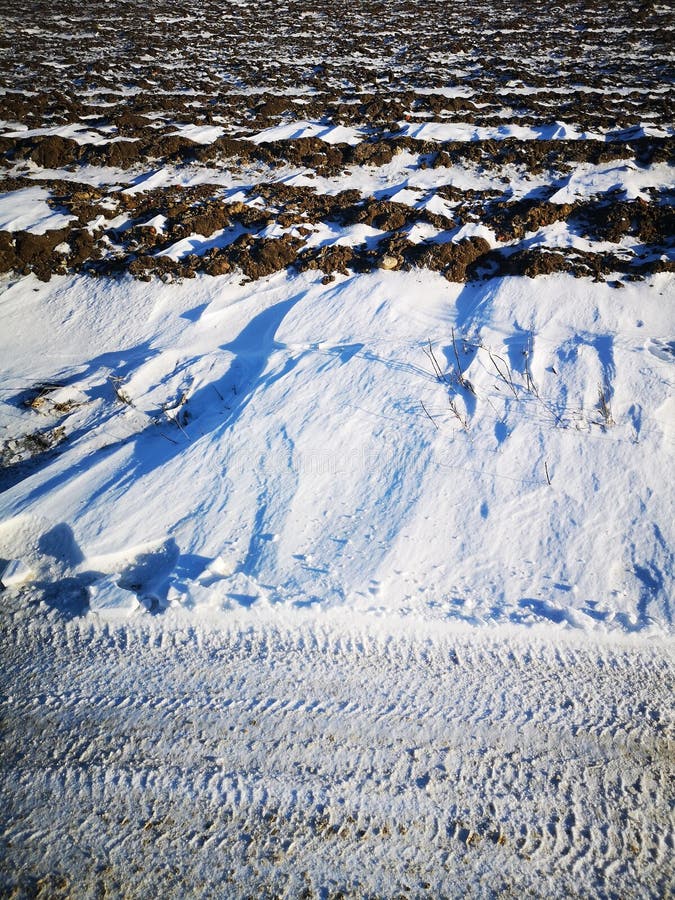 Original Textures of Snow, Branches, Soil Stock Photo - Image of ...