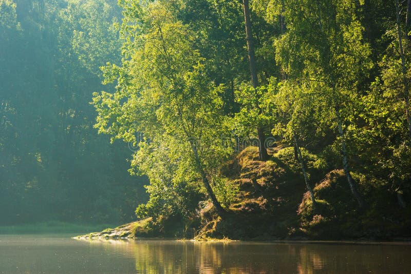 Orilla del lago imagen de archivo. Imagen de lakefront - 16751617