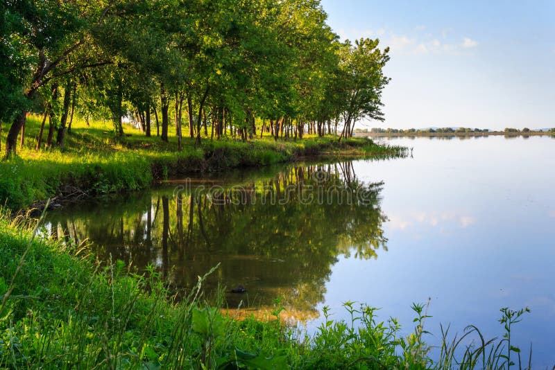 Orilla del lago imagen de archivo. Imagen de cubo, escena - 30934453