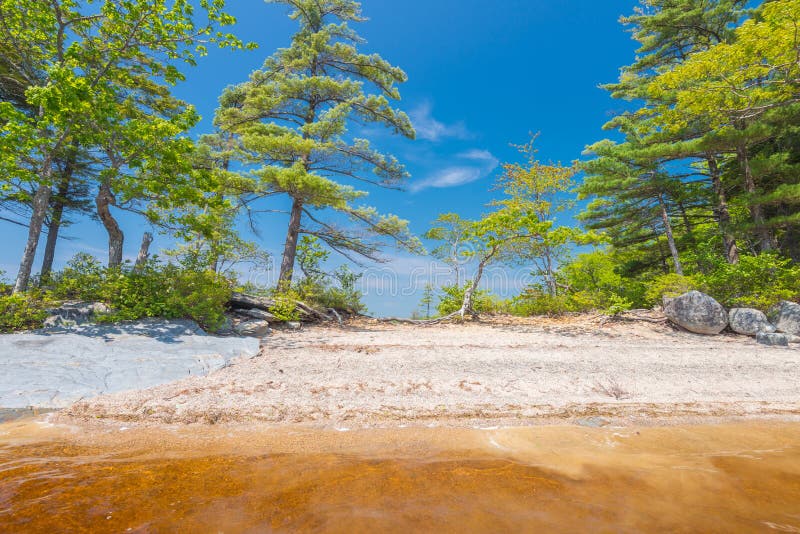 Orilla De Un Lago En Humedal Imagen de archivo - Imagen de resorte ...
