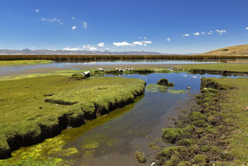 Orillas del lago JunÃ­n stock image. Image of wallpaper - 161993477