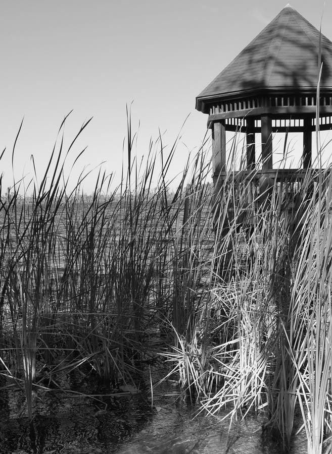 Orlando FL stock image. Image of landscapes, lakes, cove - 40754339