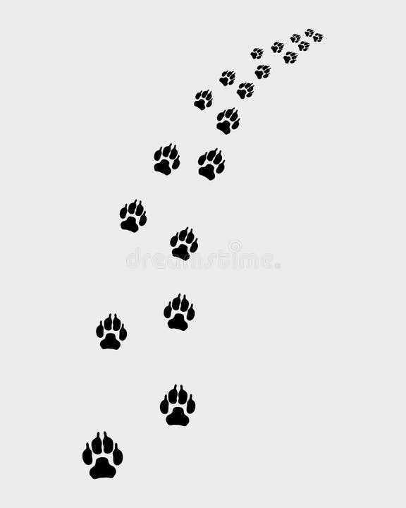 Orme del cane illustrazione di stock. Illustrazione di arte - 48497988